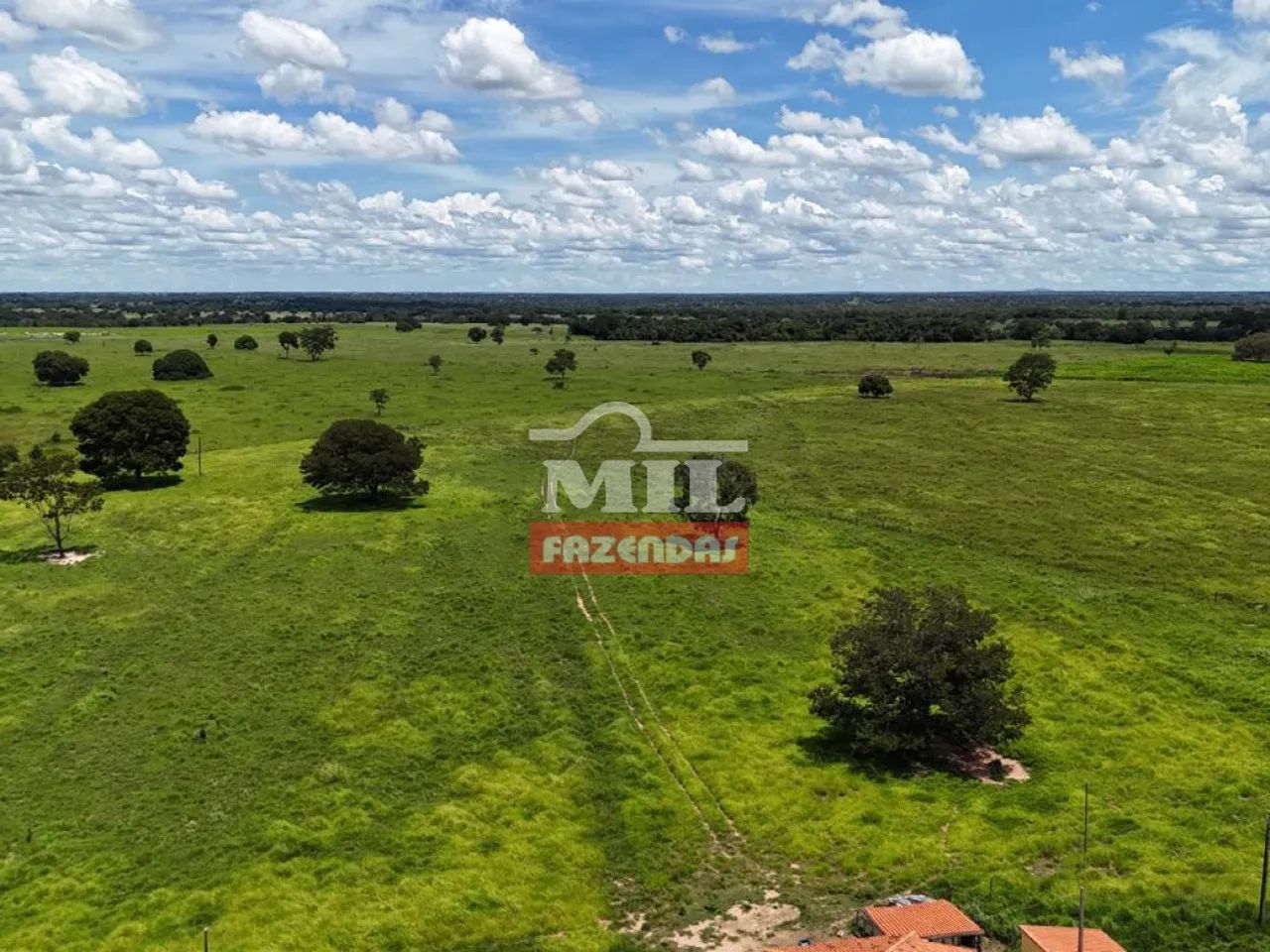 Fazenda 254 Alqueires (1.210 hectares) São Miguel do Araguaia - GO ...