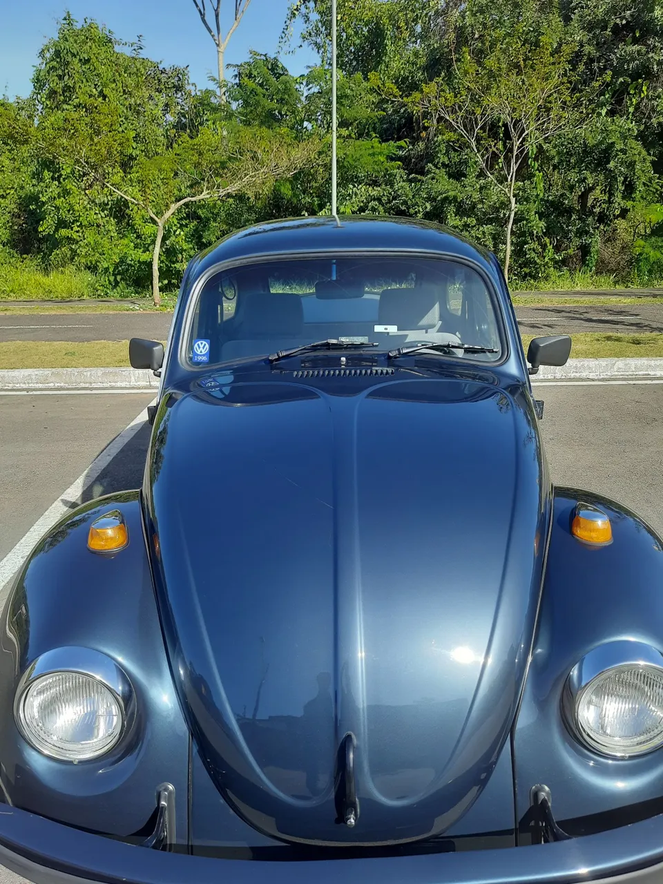 VOLKSWAGEN FUSCA 1996 Usados e Novos