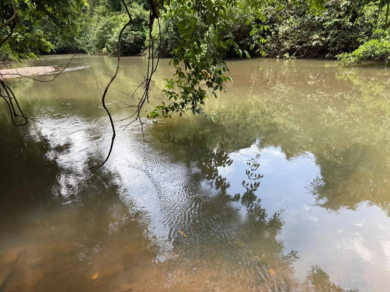 2 alqueires bela vista Goiás - Terrenos, sítios e fazendas - Bela Vista de Goiás 1456184251 | OLX