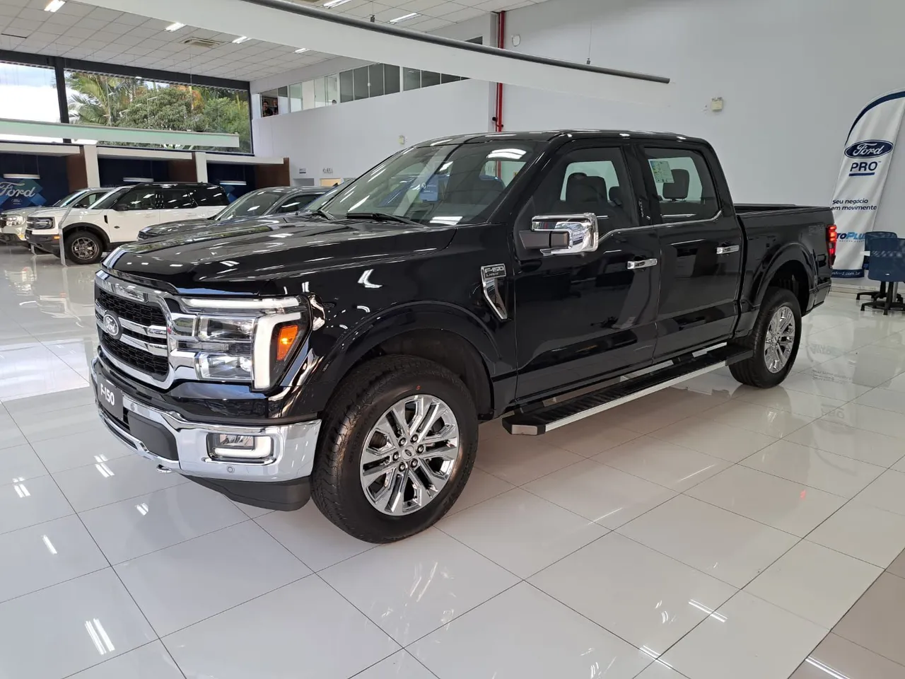 FORD F-150 Usados e Novos