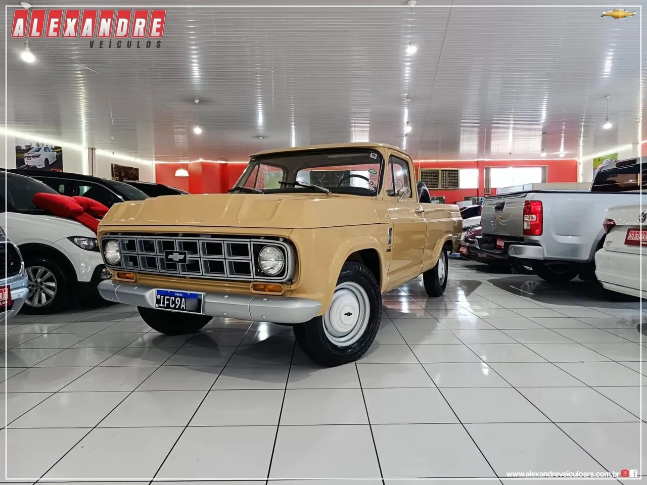 CHEVROLET C-10 Usados e Novos