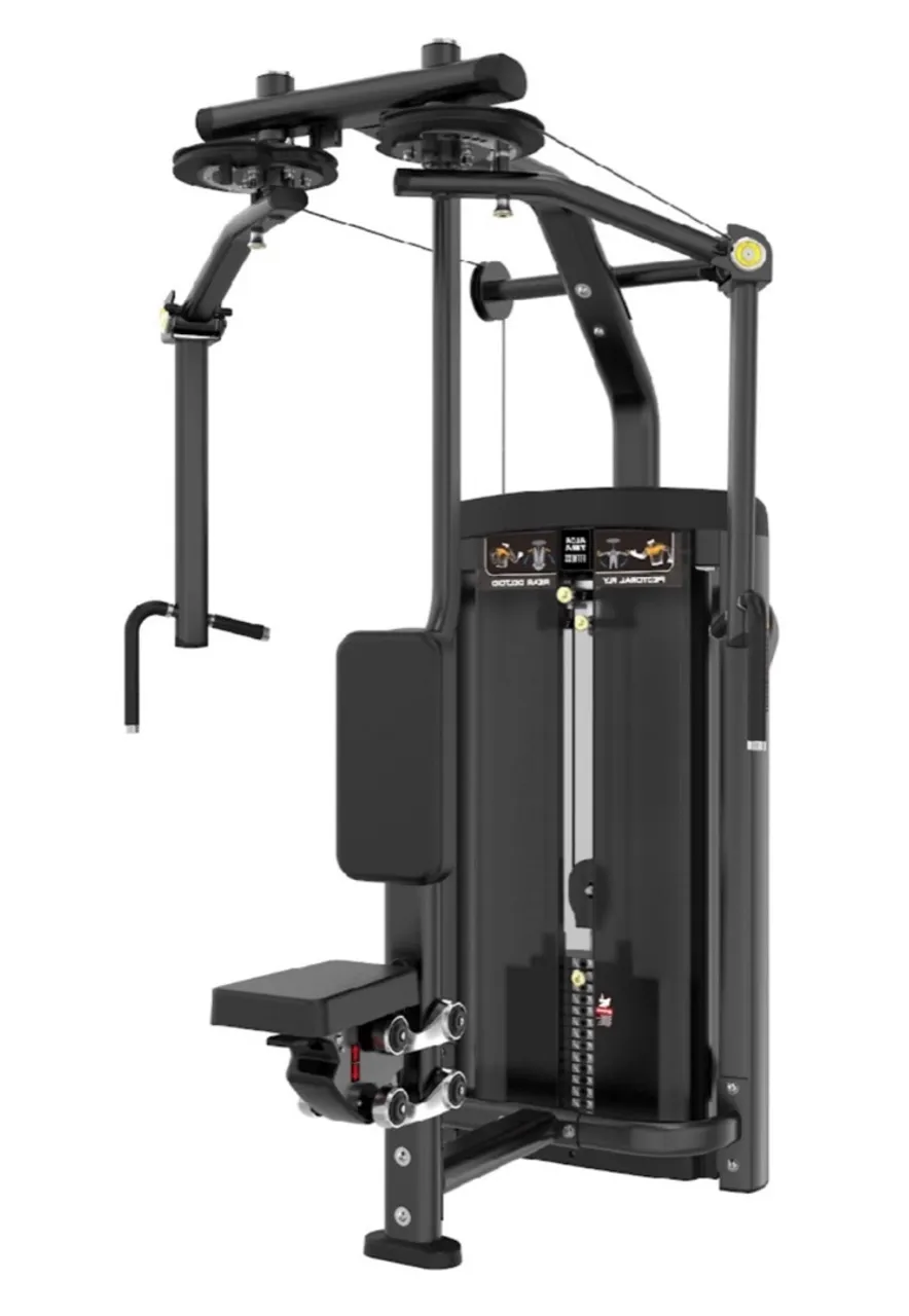 "voador musculacao" - Academia e Exercícios no Brasil