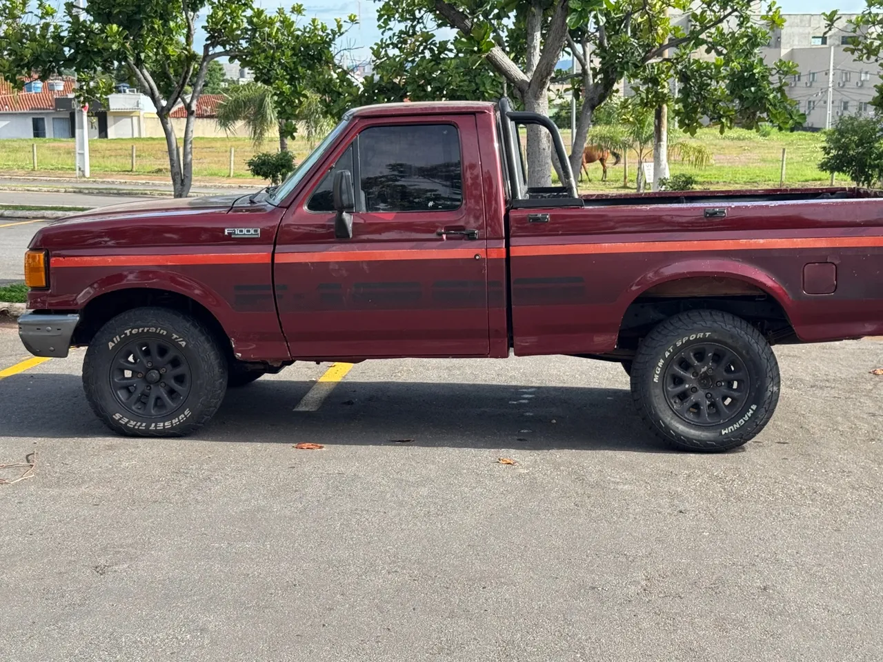 FORD F-1000 Usados e Novos em GO