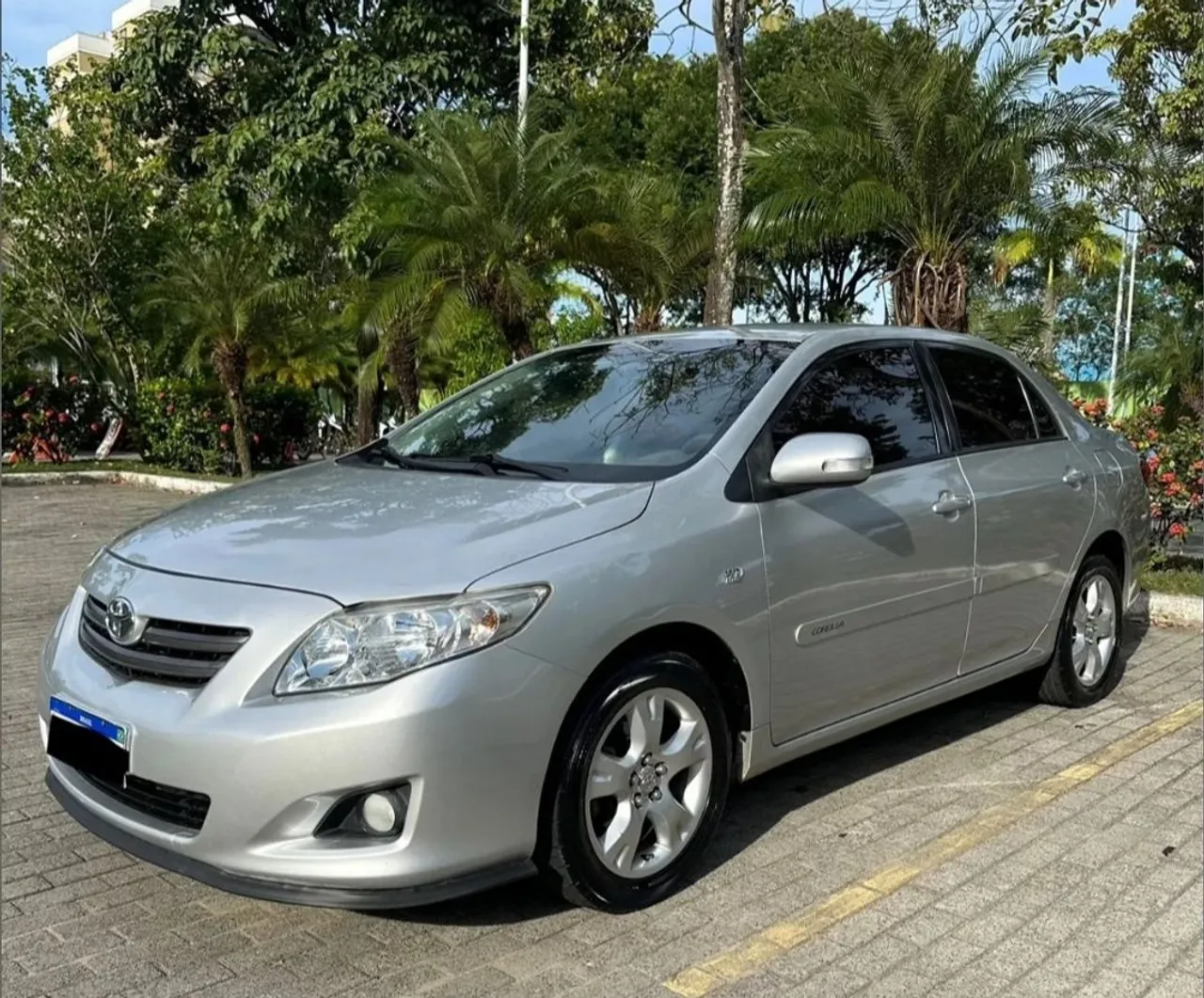 TOYOTA COROLLA 2010 Usados e Novos