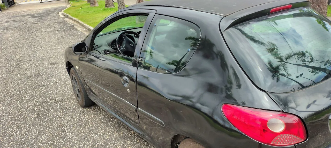 "peugeot 206" no Brasil