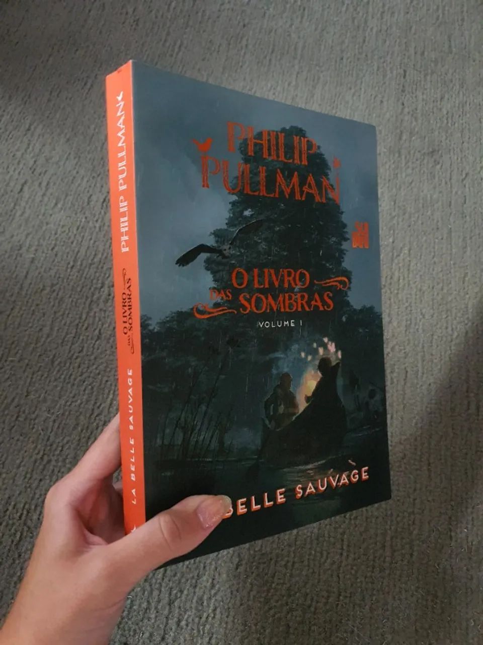 O livro das sombras (volume 1) - La belle sauvage, de Philip Pullman ...