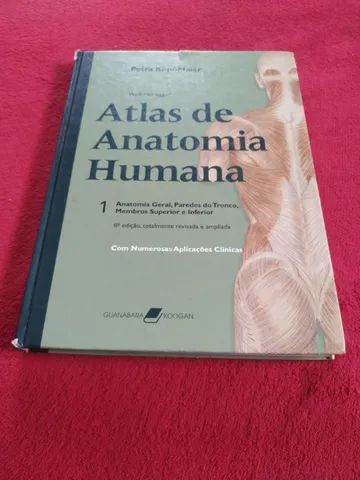 "anatomia cabeca e pescoco" no Brasil