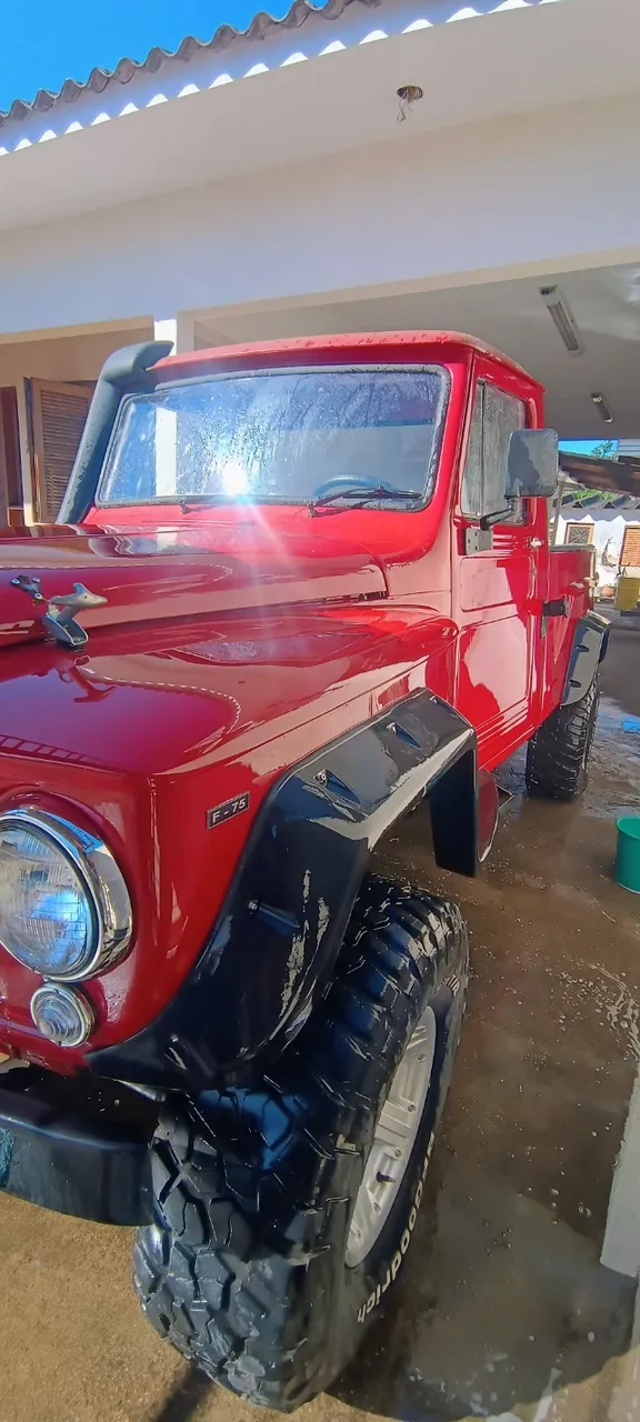 FORD F-75 Usados e Novos