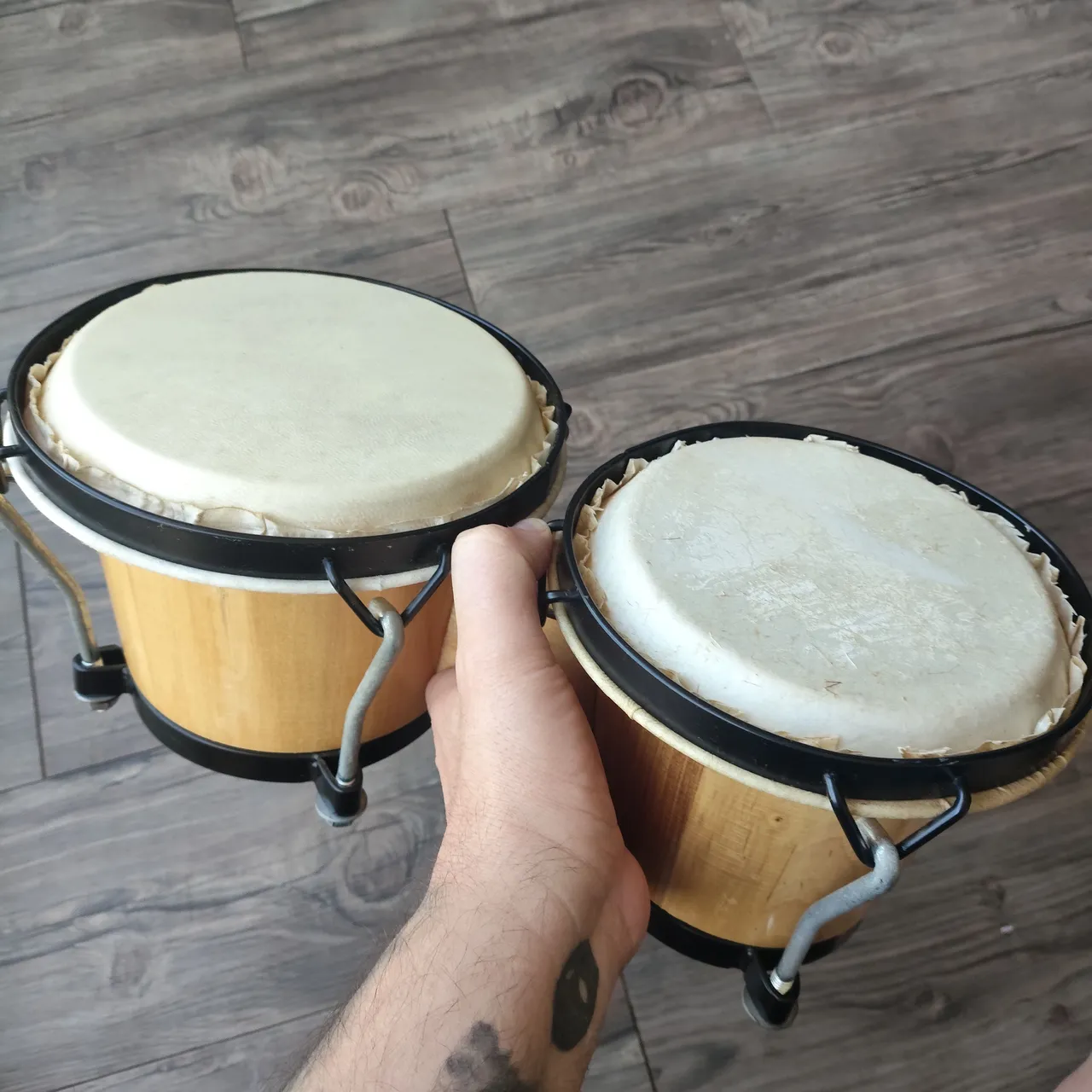 "bongo instrumento" no Brasil