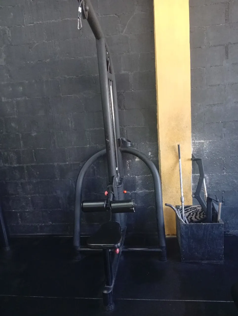 "polia academia" - Academia e Exercícios no Brasil