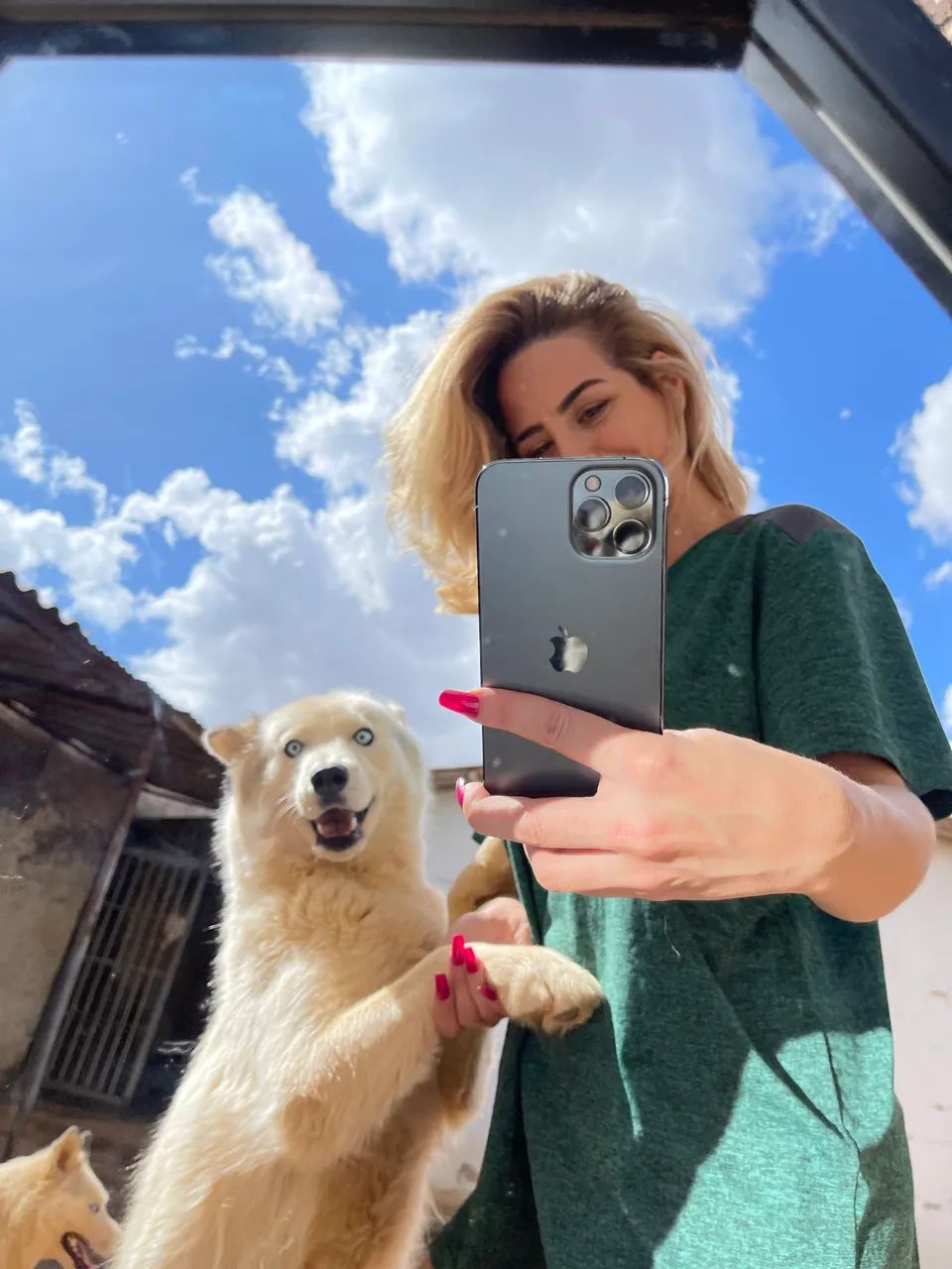 Filhote de Husky siberiano Puro - Cachorros - Ceilândia Sul (Ceilândia ...