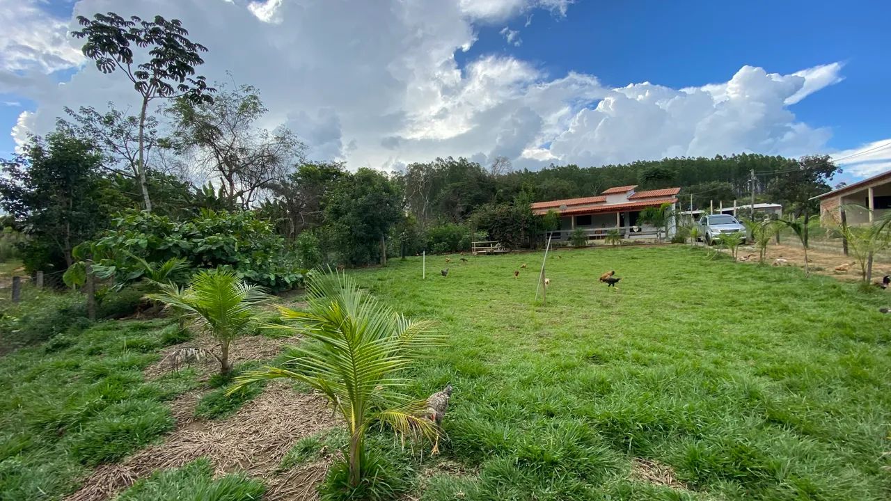Chácara rio uru, itaberai/goias - Terrenos, sítios e fazendas ...