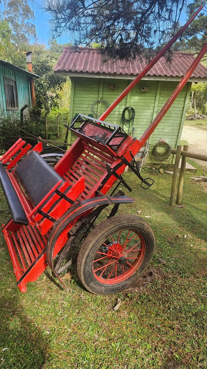 "charrete" no Brasil