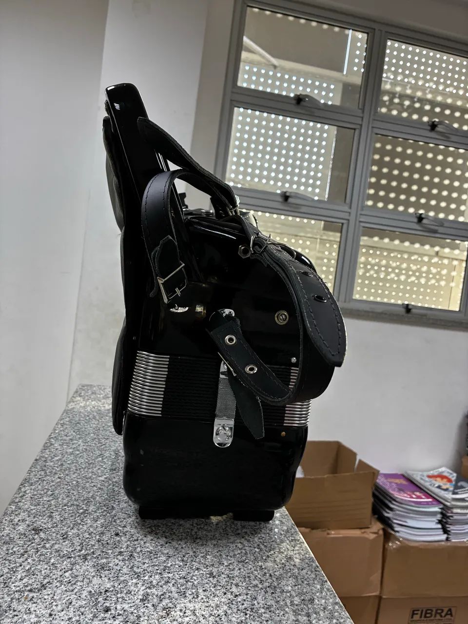 Sanfona acordeon Excelcior 4ª com dupla - Instrumentos musicais ...