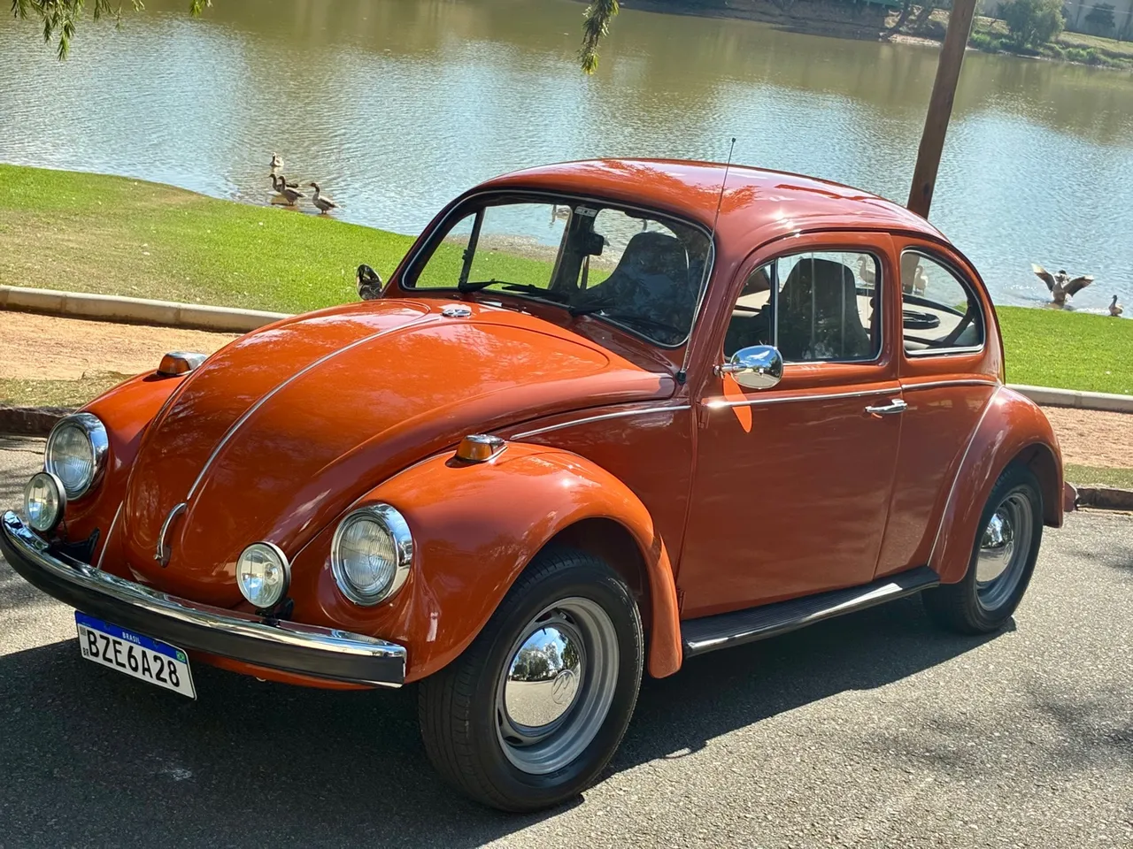 VOLKSWAGEN FUSCA 1973 Usados e Novos