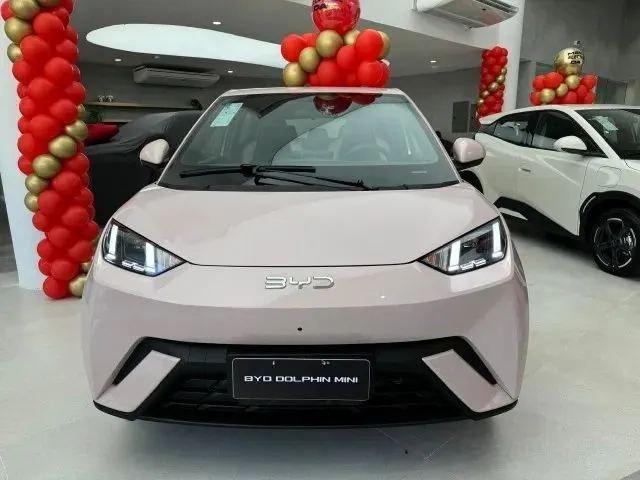 BYD DOLPHIN Usados e Novos