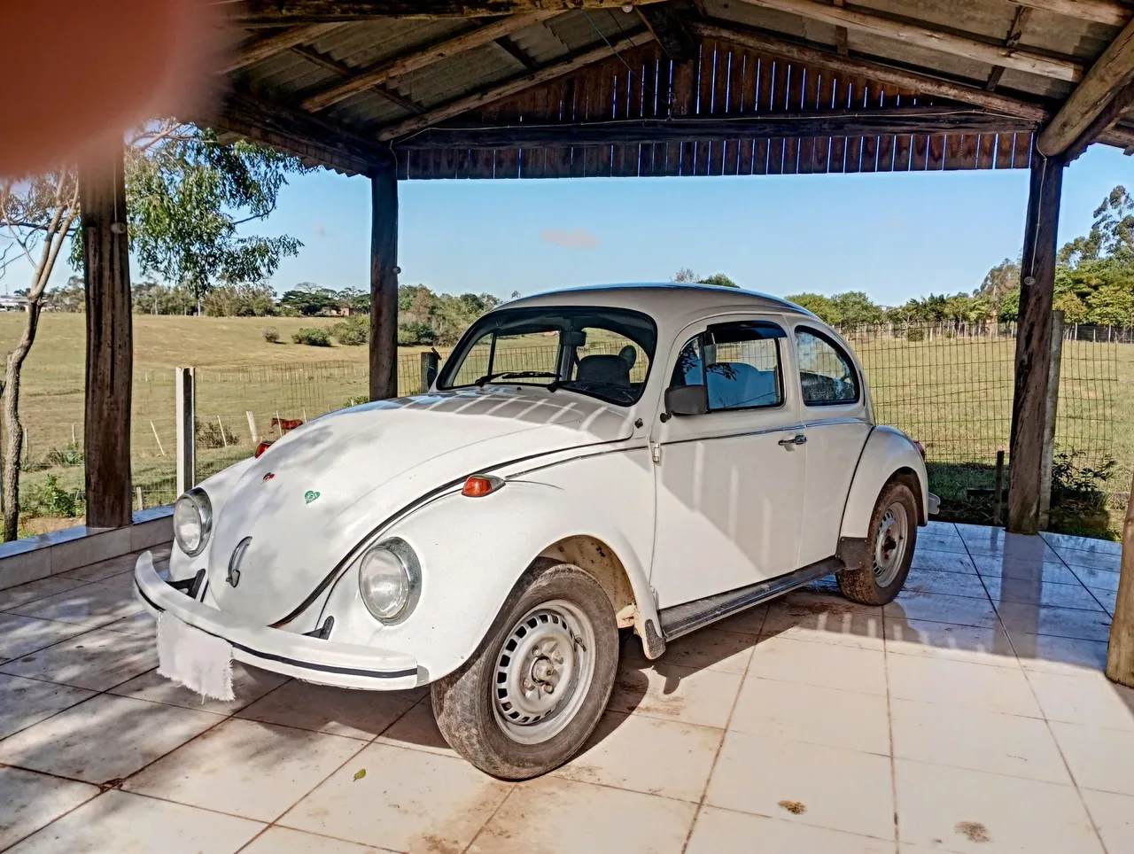 VOLKSWAGEN FUSCA 1981 Usados e Novos