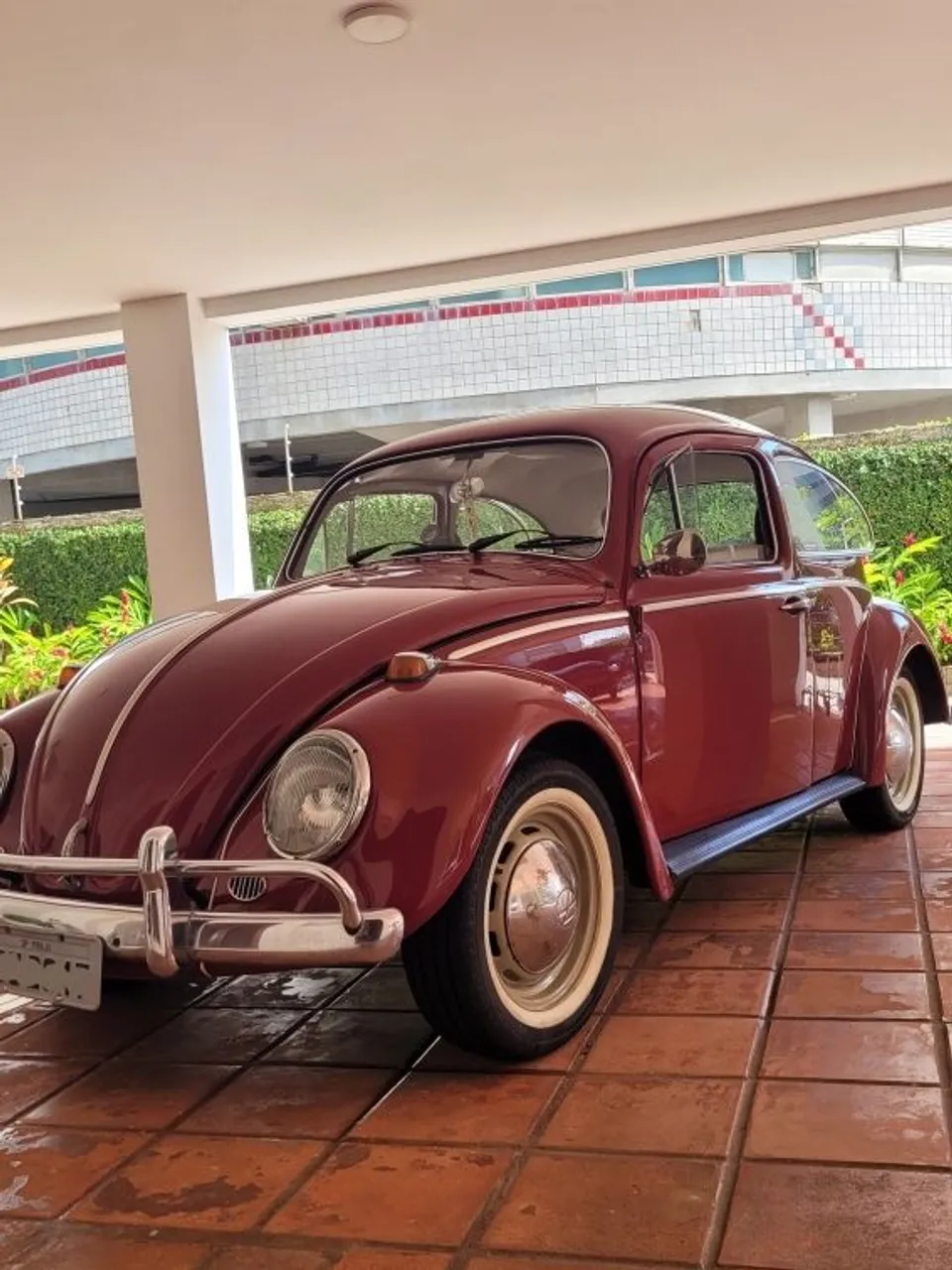 VOLKSWAGEN FUSCA 1969 Usados e Novos
