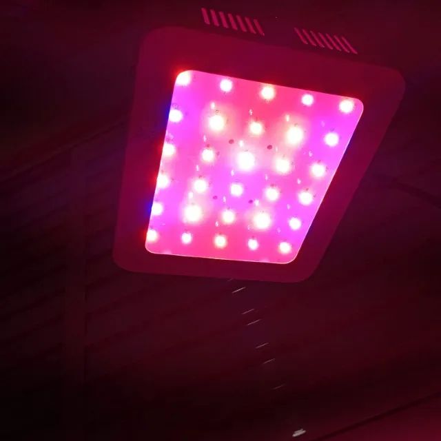 led full spectrum / Temporizador / TERMO HIGROMETRO DIGITAL ...