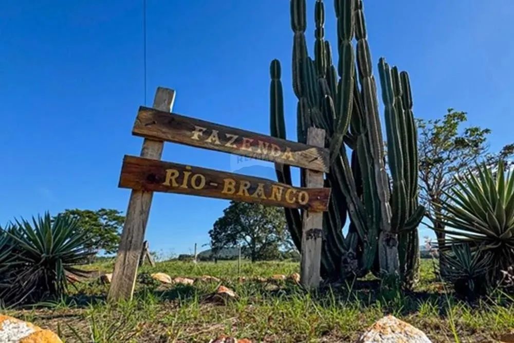 Fazenda à Venda em Rifaina-SP | 134 Alqueires | Renda com Cana e Pasto ...