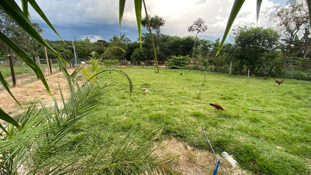 Vendo chácara rio uru itaberai/goias - Terrenos, sítios e fazendas ...