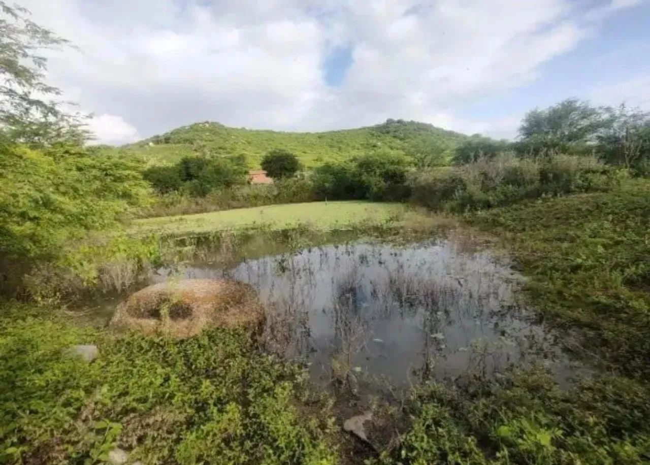 129 HECTARES ESCRITURADOS COM ESTRUTURA PRONTA INVESTIMENTO AGRO RARO ...