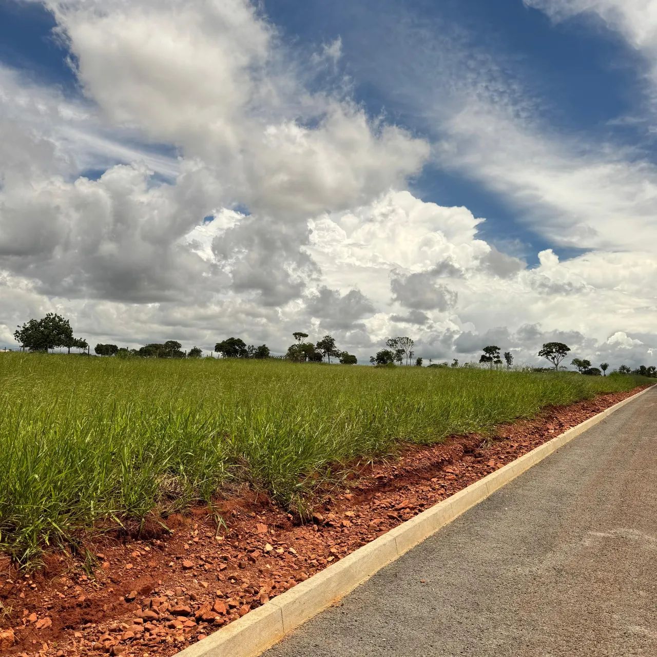 Loteamento Flora Nogueira GO 070 lotes a prestações - Terrenos, sítios ...