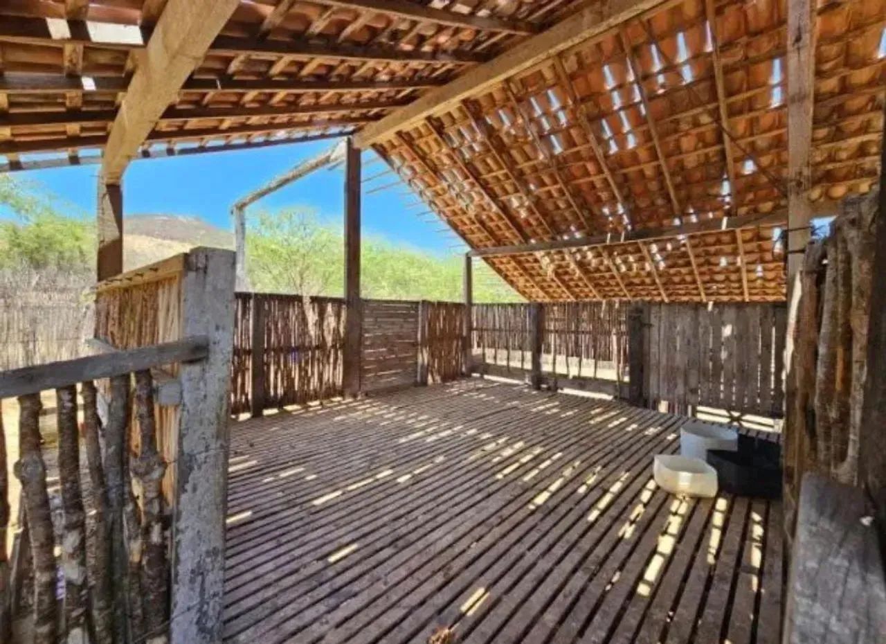 129 HECTARES ESCRITURADOS COM ESTRUTURA PRONTA INVESTIMENTO AGRO RARO ...