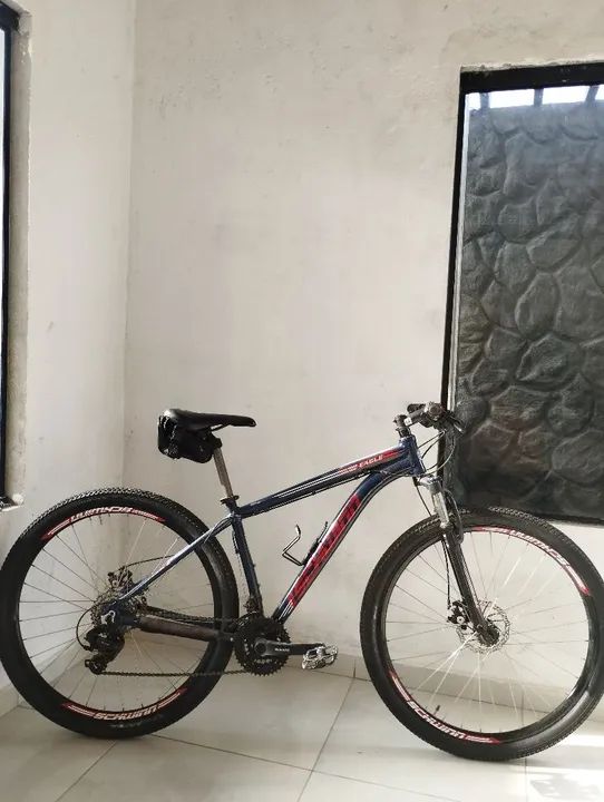 Schwinn eagle 29 store
