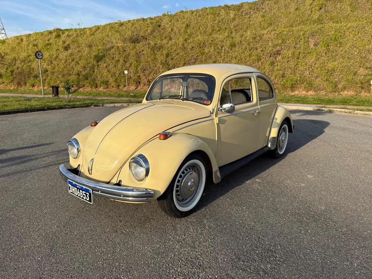 Volkswagen Fusca 1976 Usados e Novos
