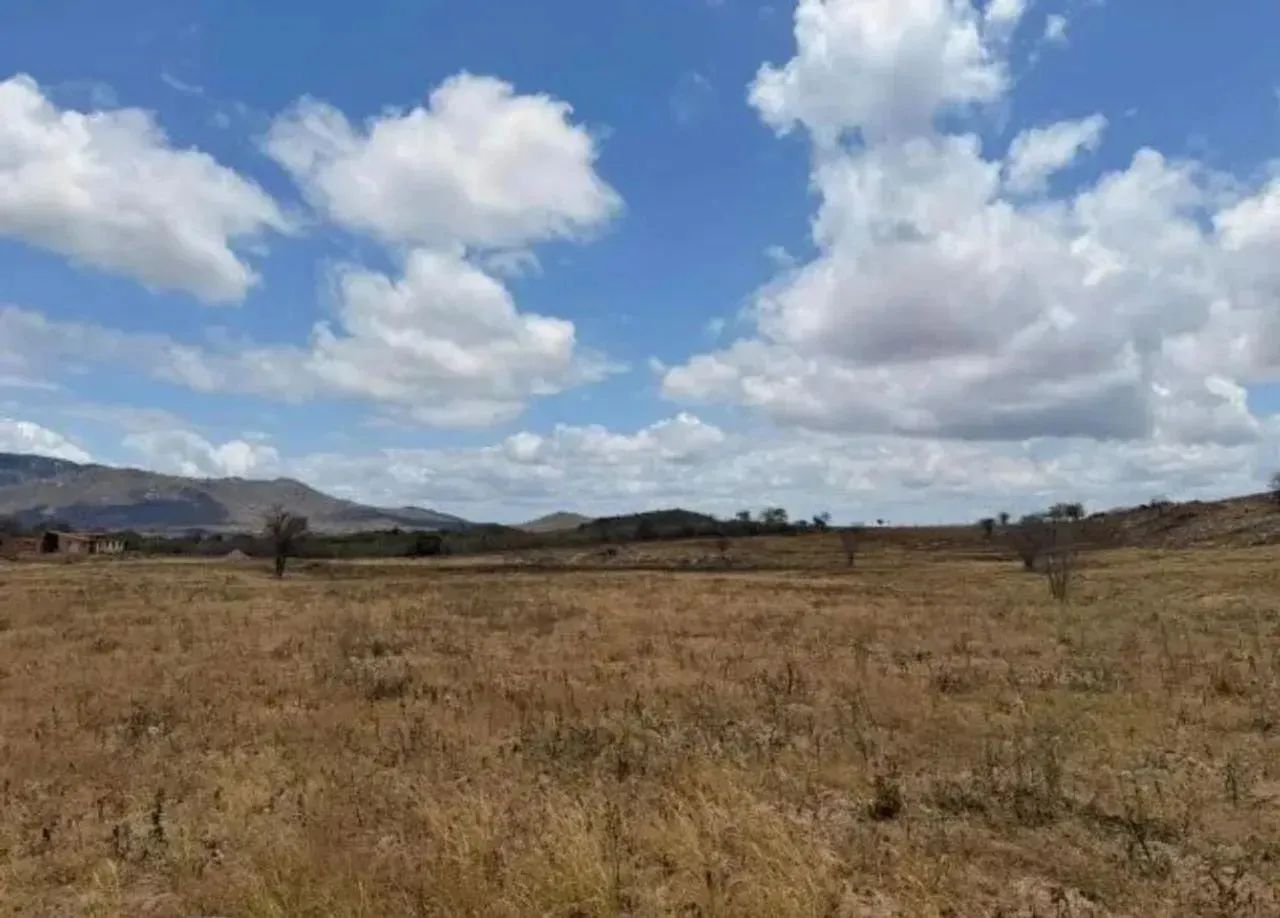 129 HECTARES ESCRITURADOS COM ESTRUTURA PRONTA INVESTIMENTO AGRO RARO ...