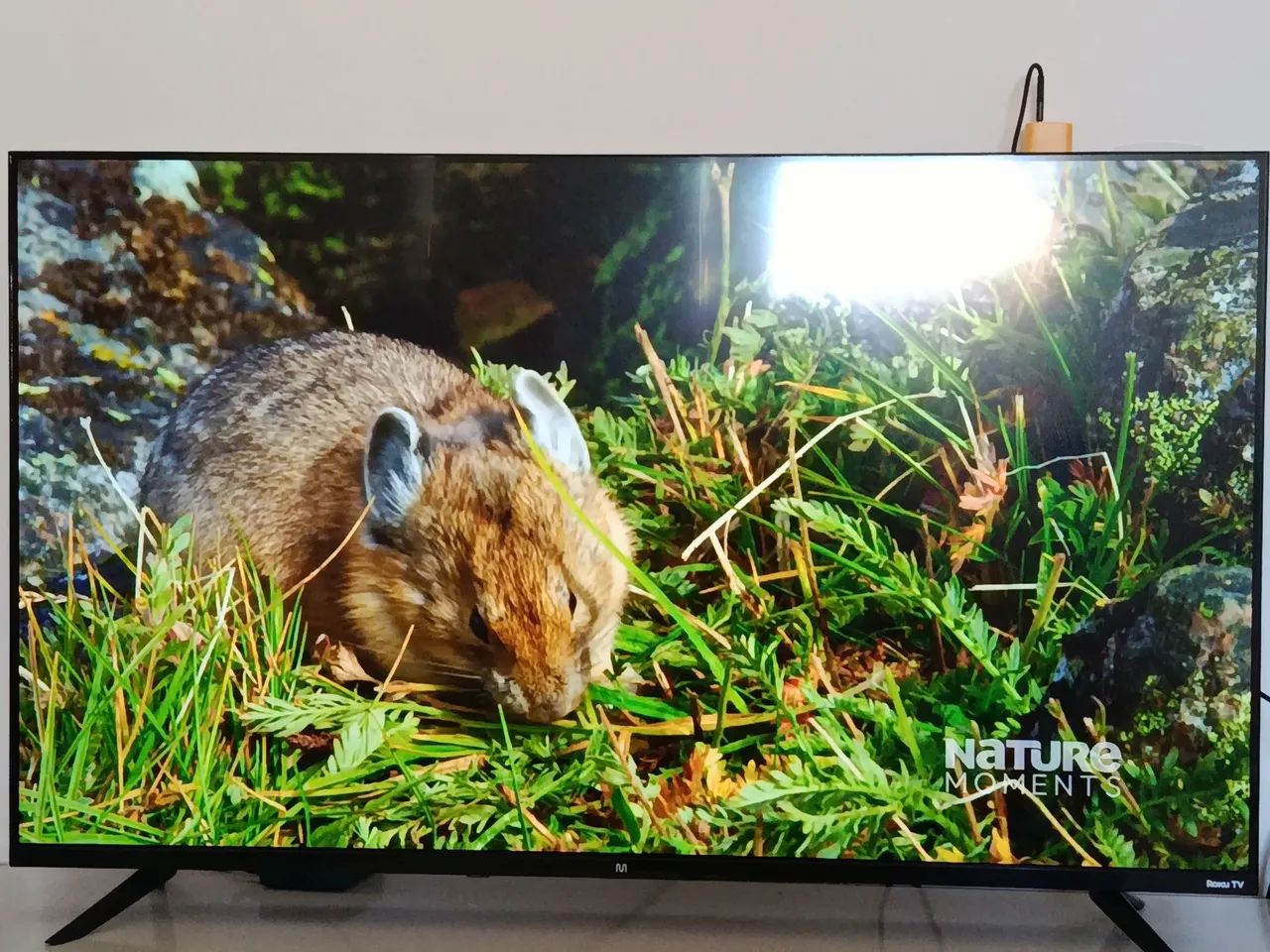 Roku TV 43 Polegadas - Smart TV Completa - TVs - Unamar (Tamoios), Cabo ...