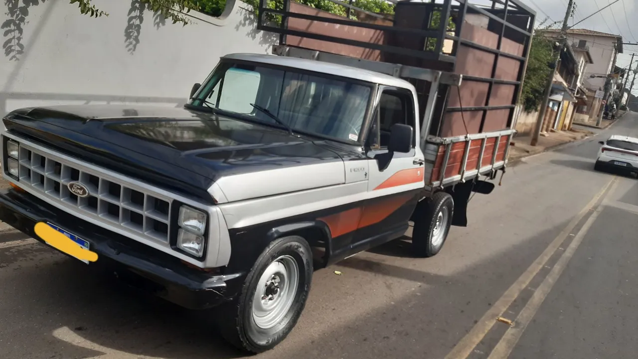 FORD F-1000 Usados e Novos em MG