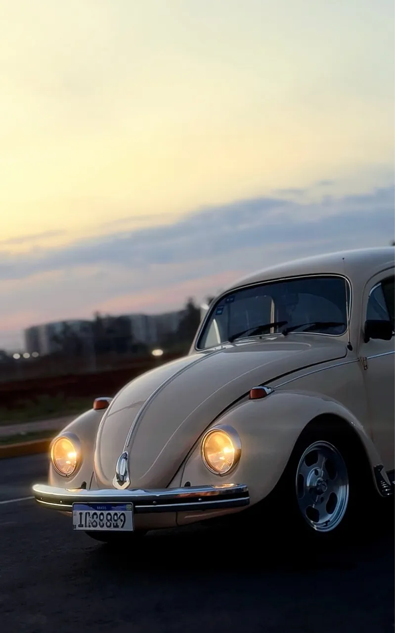 VOLKSWAGEN FUSCA 1979 Usados e Novos