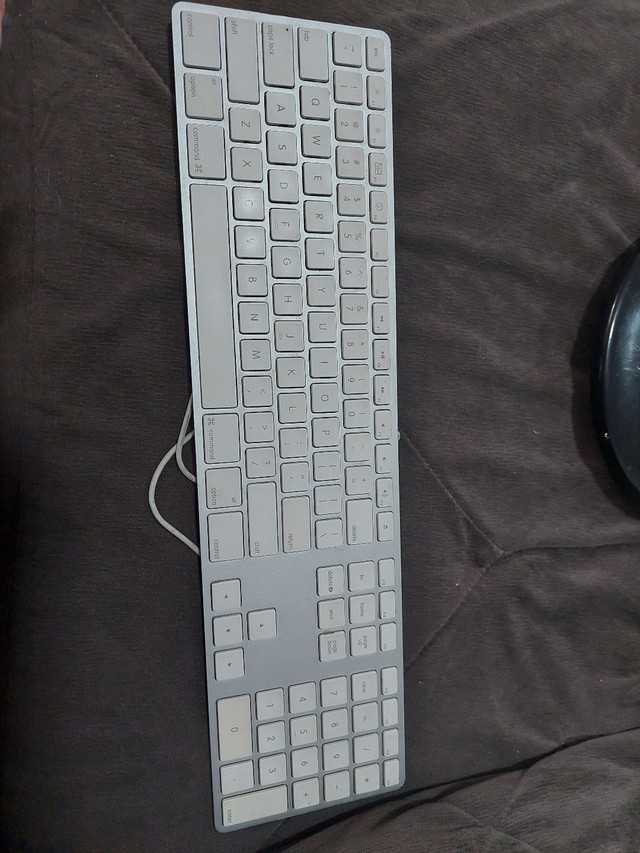 Magic keyboard apple | +1029 anúncios na OLX Brasil