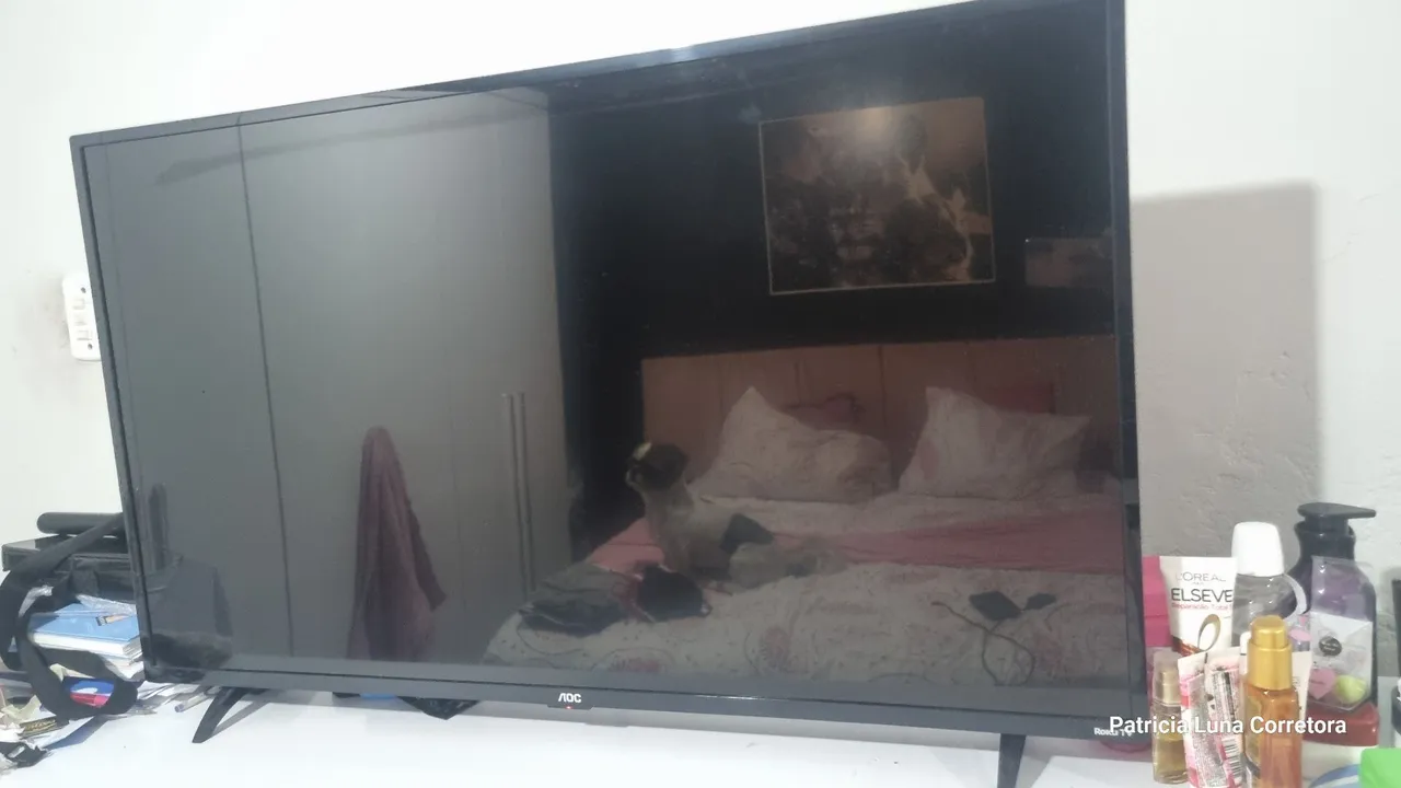 "smart tv led 43 polegadas aoc" - TVs no Brasil