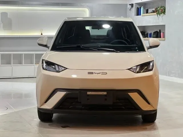 BYD Dolphin MINI (ELÉTRICO) Usados e Novos