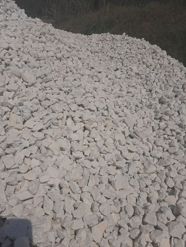 "pedrisco" no Brasil