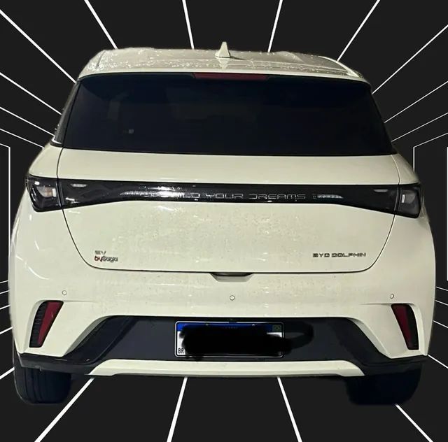 BYD DOLPHIN Usados e Novos
