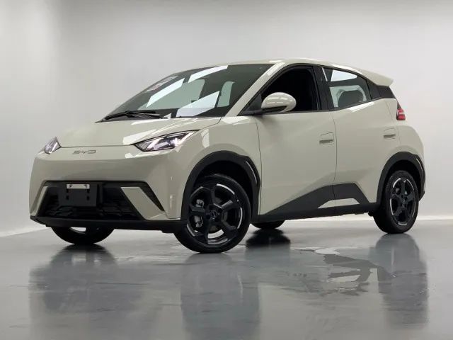 BYD DOLPHIN Usados e Novos