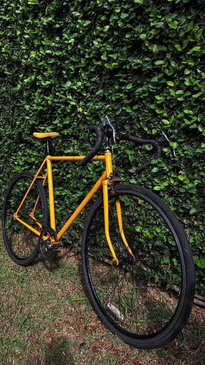 "kit single speed" - Ciclismo no Brasil