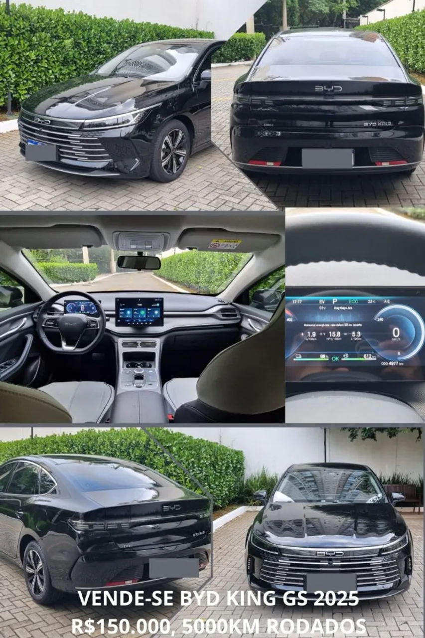 BYD King Usados e Novos