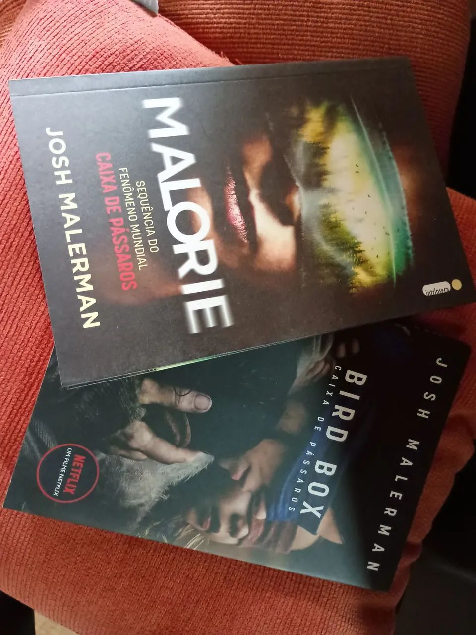 Bird Box -Duologia - Livros e revistas - Planalto, Porto Velho ...