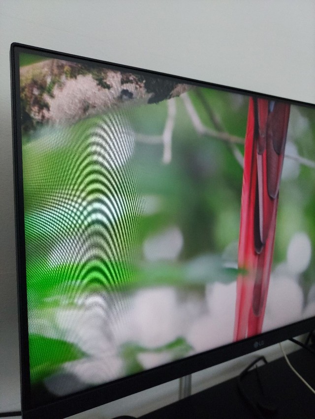 Tv monitor lg 24 polegadas | +165 anúncios na OLX Brasil