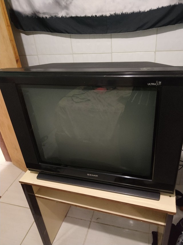 Tv 29 slim | +60 anúncios na OLX Brasil