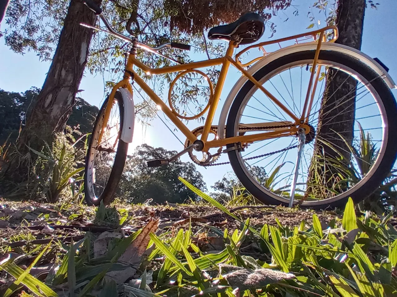 "bicicletas barra forte" - Ciclismo no Brasil