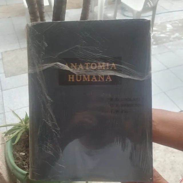 Livro Anatomia Humana de B.D. Lockhart e G.F. Hamilton - Móveis de ...