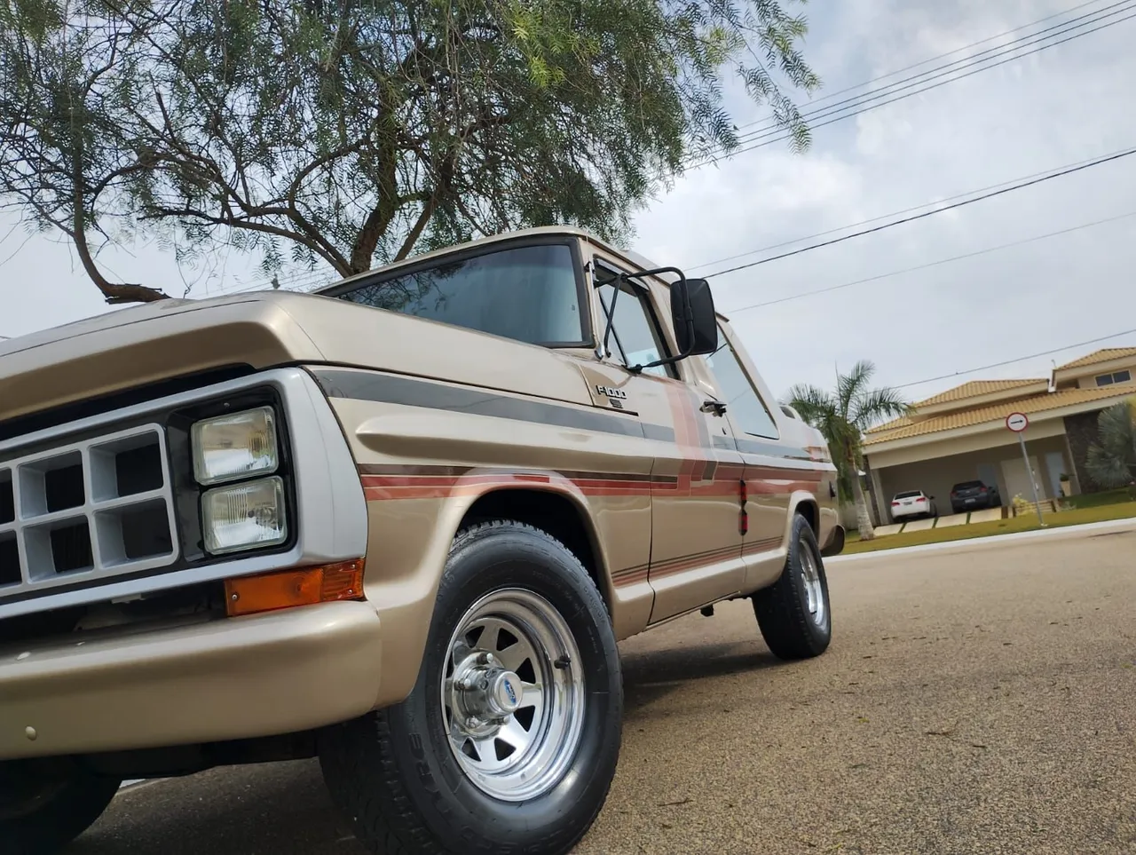 "ford f1000 f 1000" no Brasil