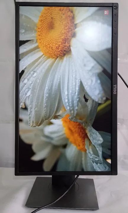 "monitor dell 22 polegadas" no Brasil