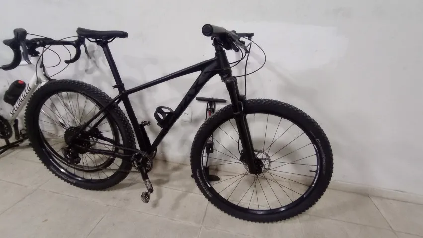 "audax auge 50" no Brasil